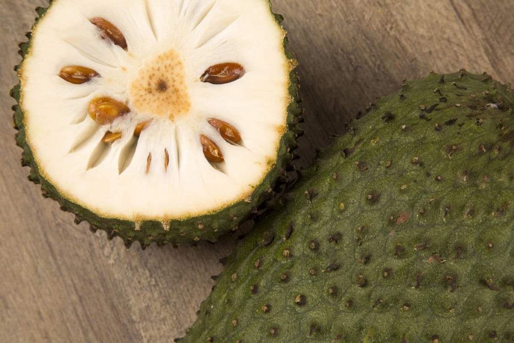 Quantas dessas 25 frutas nativas da região Amazônica você já saboreou